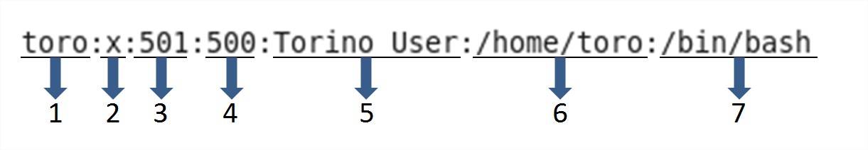 The Etcpasswd File Format